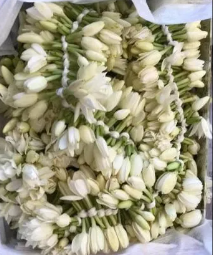 Mullai String Small – SRI PUJA STORE